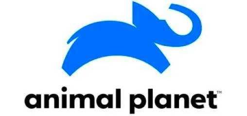 Family TV Channels Available